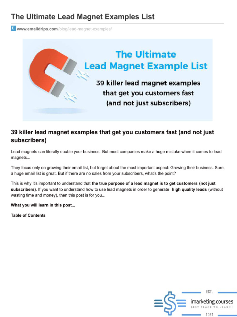 Lead Magnet Examples for Business Growth | PDF | Advertising | Social Media