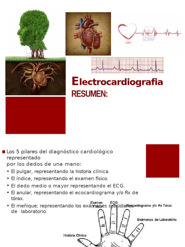 Ekg 1 | PDF | Electrocardiografia | Cardiología