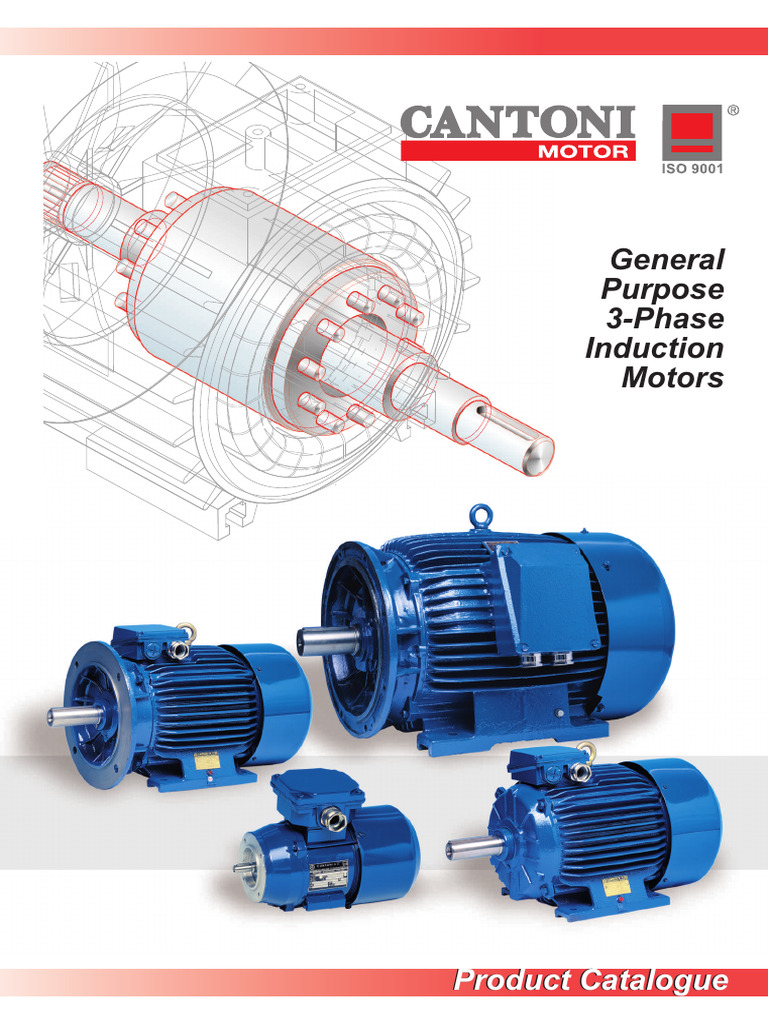 6491 Ie1 Catalogue en | PDF | Electric Motor | Belt (Mechanical)