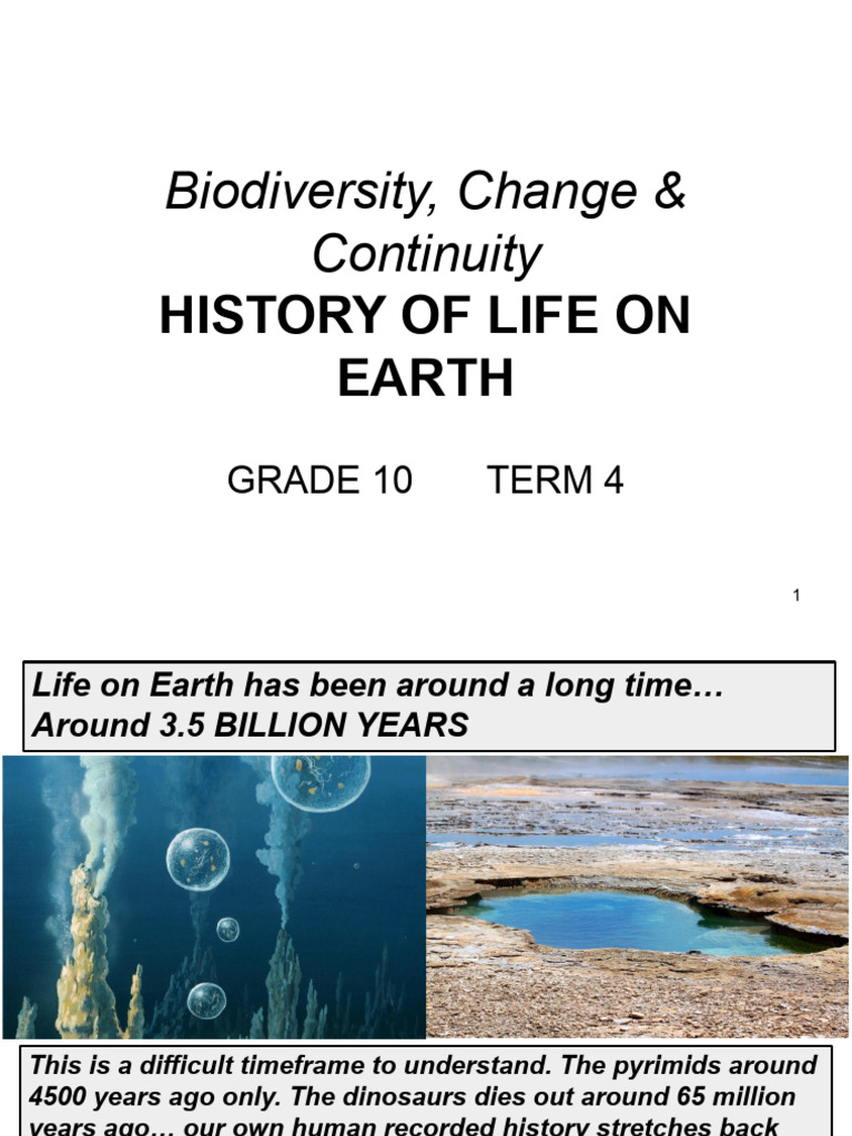 History of Life On Earth | PDF | Fossil | Earth Sciences