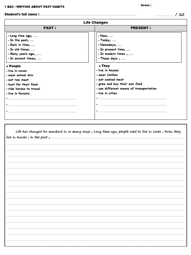 Writing on Past Habits | PDF