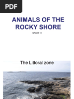 Sandy Beach Ecosystems Explained | PDF | Beach | Coast