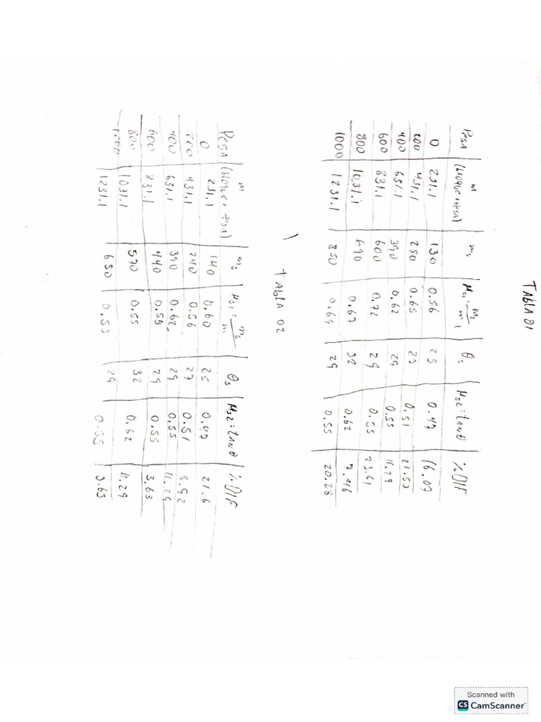 Practica 7 Lab Fis | PDF