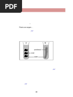 Grade 11 Gaseous Exchange Practical Task - Term 3 2024-1 | PDF | Breathing | Respiration