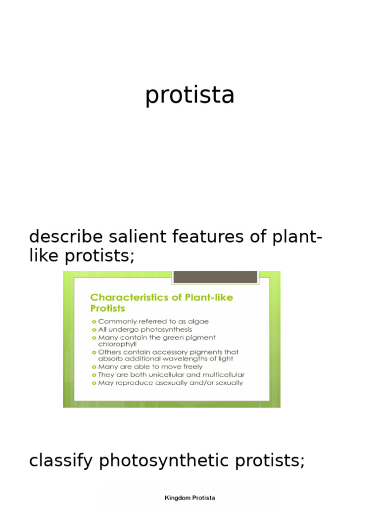 Protista | PDF
