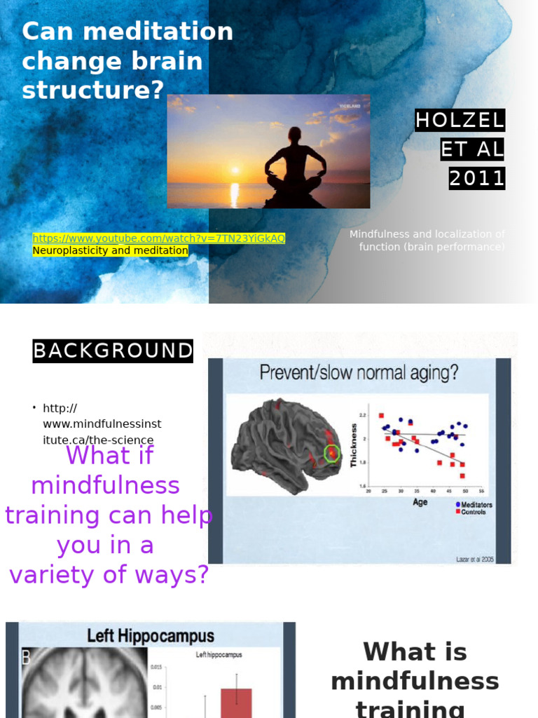 1 - Holzel Et Al Core Study - Cambridge Psychology | PDF | Insular ...