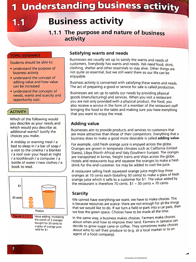 Business Studies IGCSE 2 | PDF