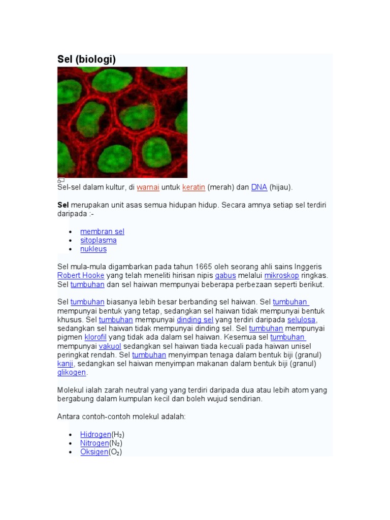 2 - 3 Sel, Tisu Dan Membran | PDF