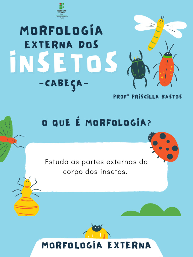 Morfologia Externa dos Insetos | PDF | Insetos | Besouro