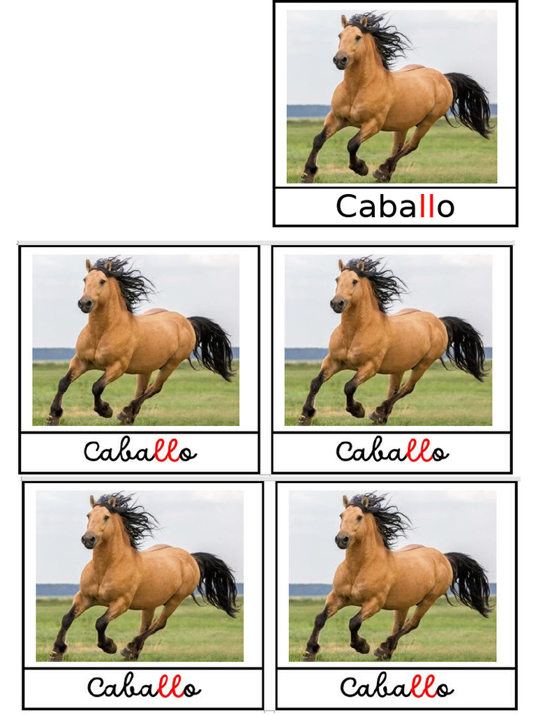 leccion Caballo | PDF