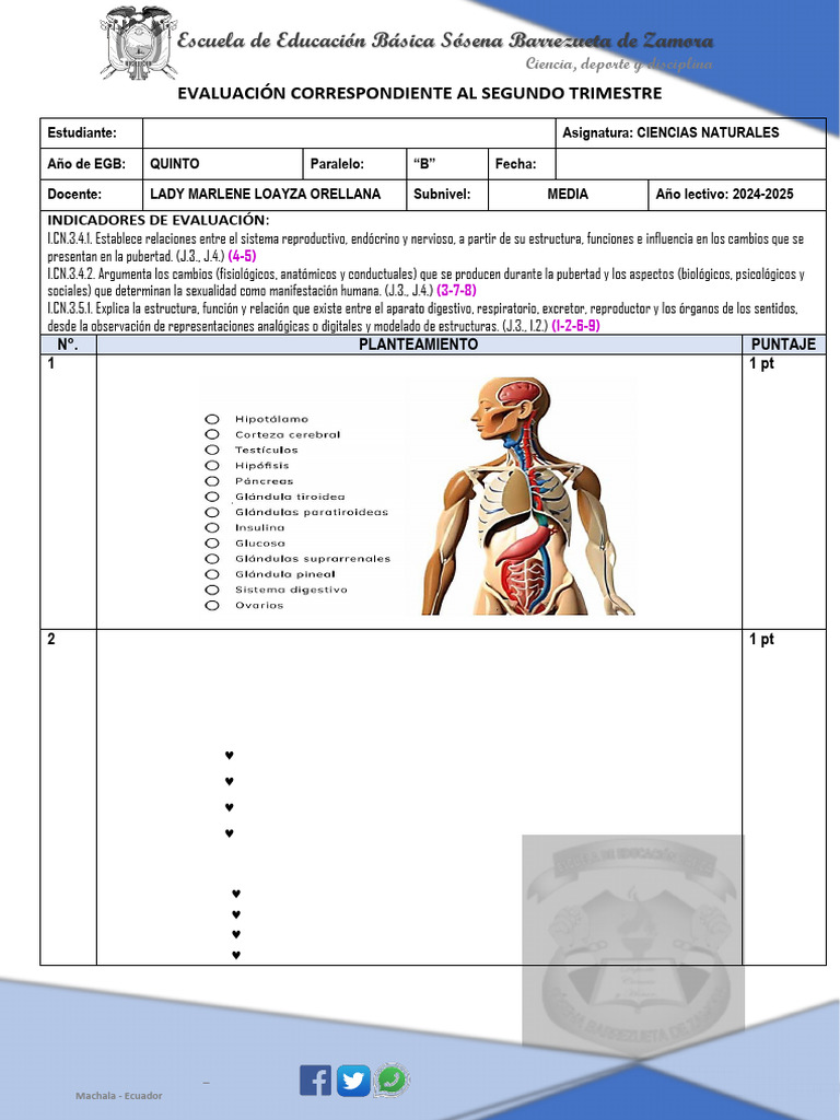 Evaluación de CCNN Correspondiente Al Segundo Trimestre3 | PDF | Sistema digestivo humano ...