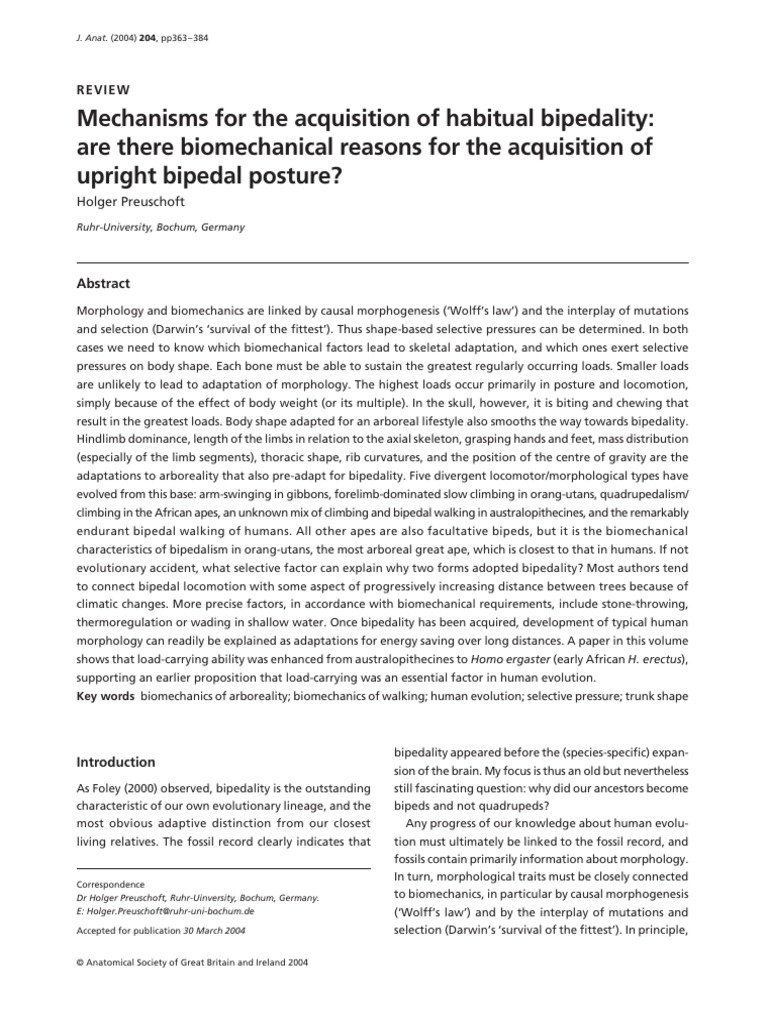 JOUR ANATOMY Bipedalism | PDF | Bipedalism | Pelvis