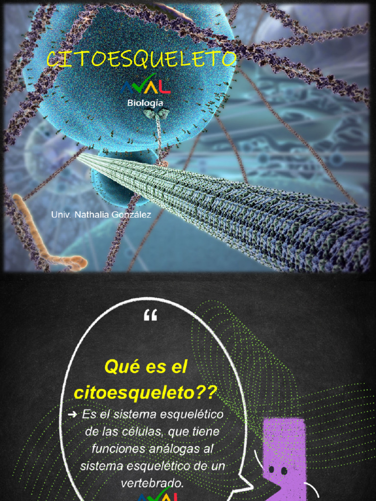 Citoesqueleto Parte 1 | PDF