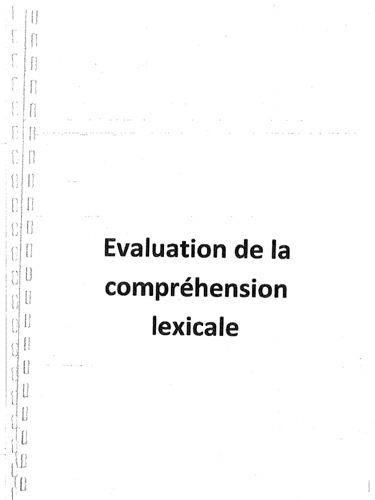 Lexical Comprehension 6-8 | PDF