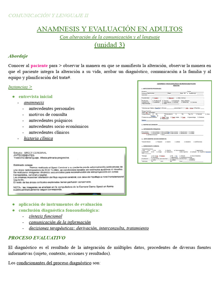 Resumen 2° Parcial - CyL II | PDF | Espectro autista | Discapacidad intelectual