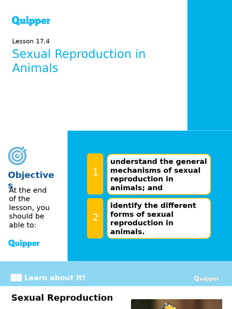 Sexual Reproduction Mechanisms in Animals | PDF | Sexual Reproduction ...