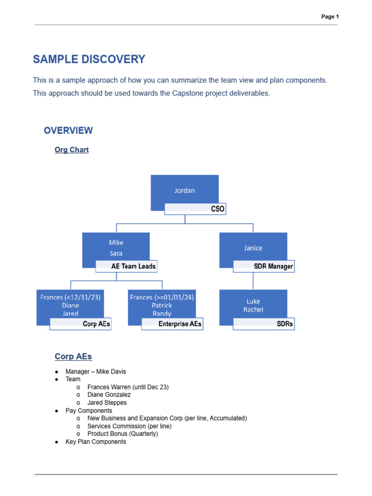 Spiff - Consultant Capstone - Sample Overview | PDF