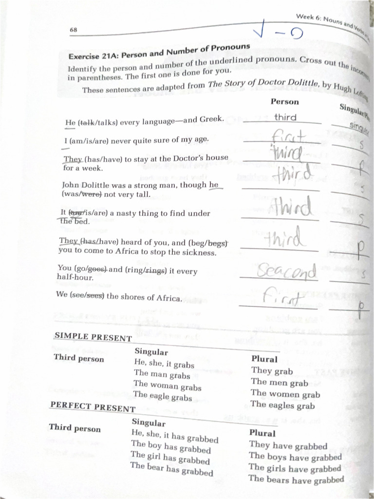 Week 6 Nouns and Verbs in Sentences 2 | PDF