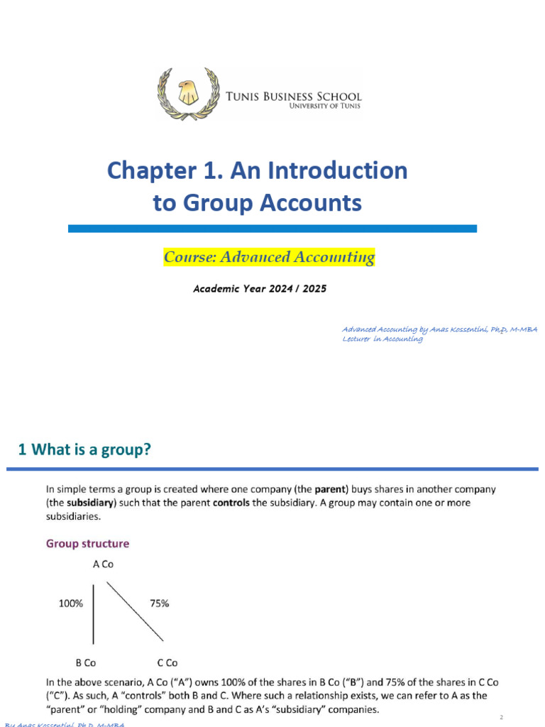 An Introduction To Group Accounts 2024 | PDF | Business