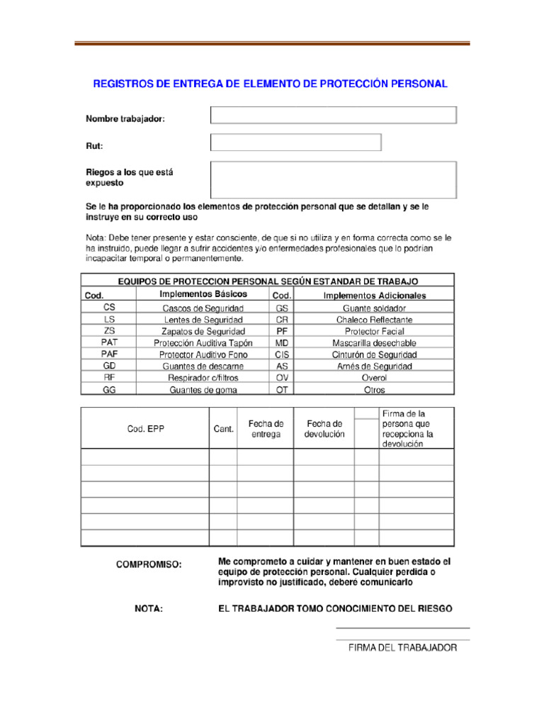 Formulario EPP | PDF