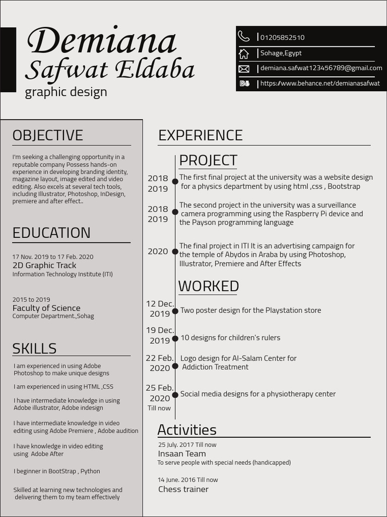 CV Demiana | PDF | Adobe Photoshop | Computing