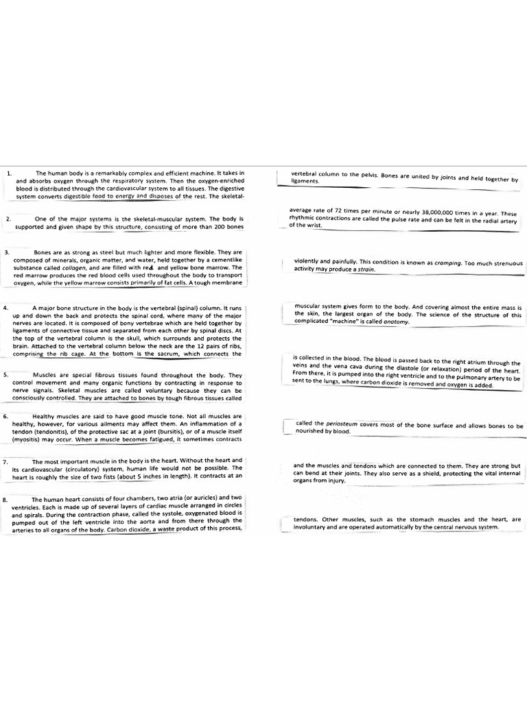 Human Anatomy Reading Activity 1 | PDF