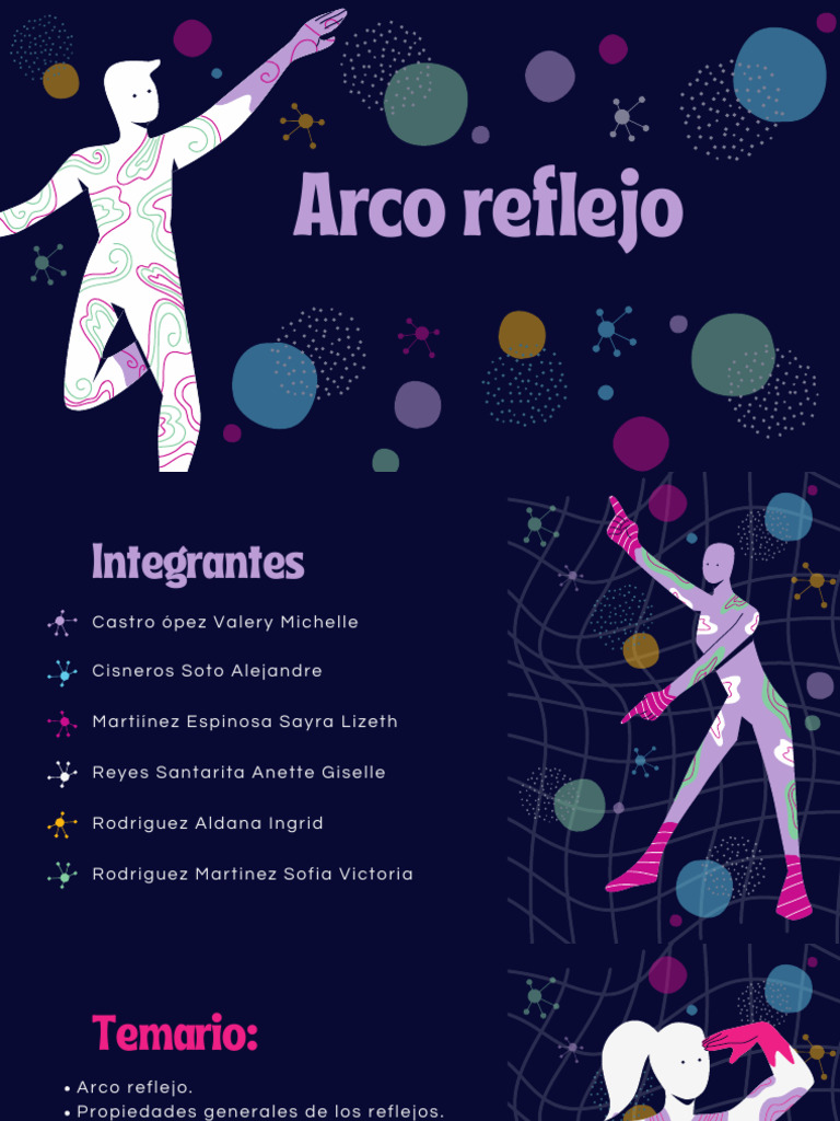 Arco Reflejo - 20241011 - 123055 - 0000 | PDF | Cerebro | Sistema nervioso