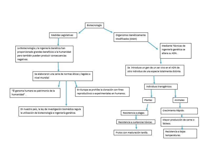 Biotecnologia Mapa Mental 2 | PDF | Ingeniería genética | Organismo genéticamente modificado