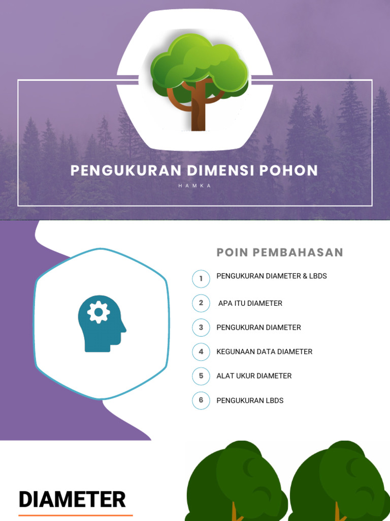 Pengukuran Dimensi Pohon 1 | PDF