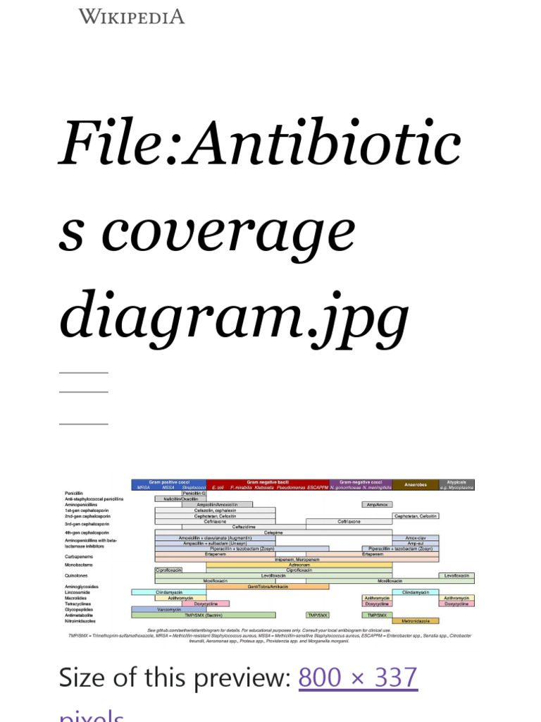 File - Antibiotics Coverage Diagram - JPG - Wikipedia | PDF | License ...
