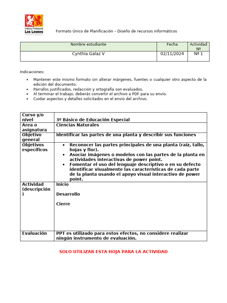 Formato Planificación - Diseño de Recursos Informáticos | PDF | Arte ...