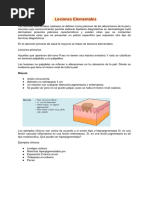 Definición de mácula y pápula en piel | PDF | Piel | Sistema tegumentario