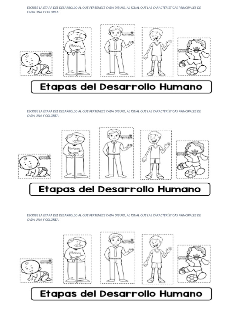 Etapas Del Desarrollo Humano | PDF