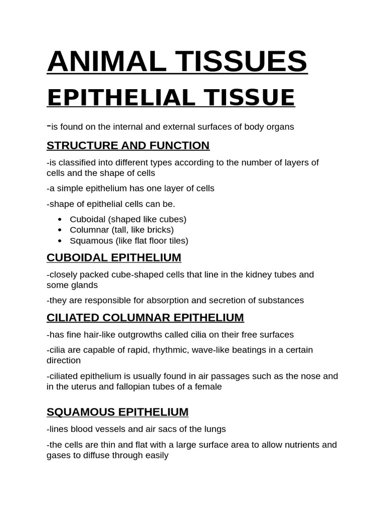 Animal Tissues | PDF