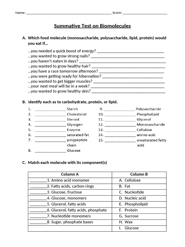 Biomolecules Summative Test | PDF | Nucleic Acids | Molecular Biophysics