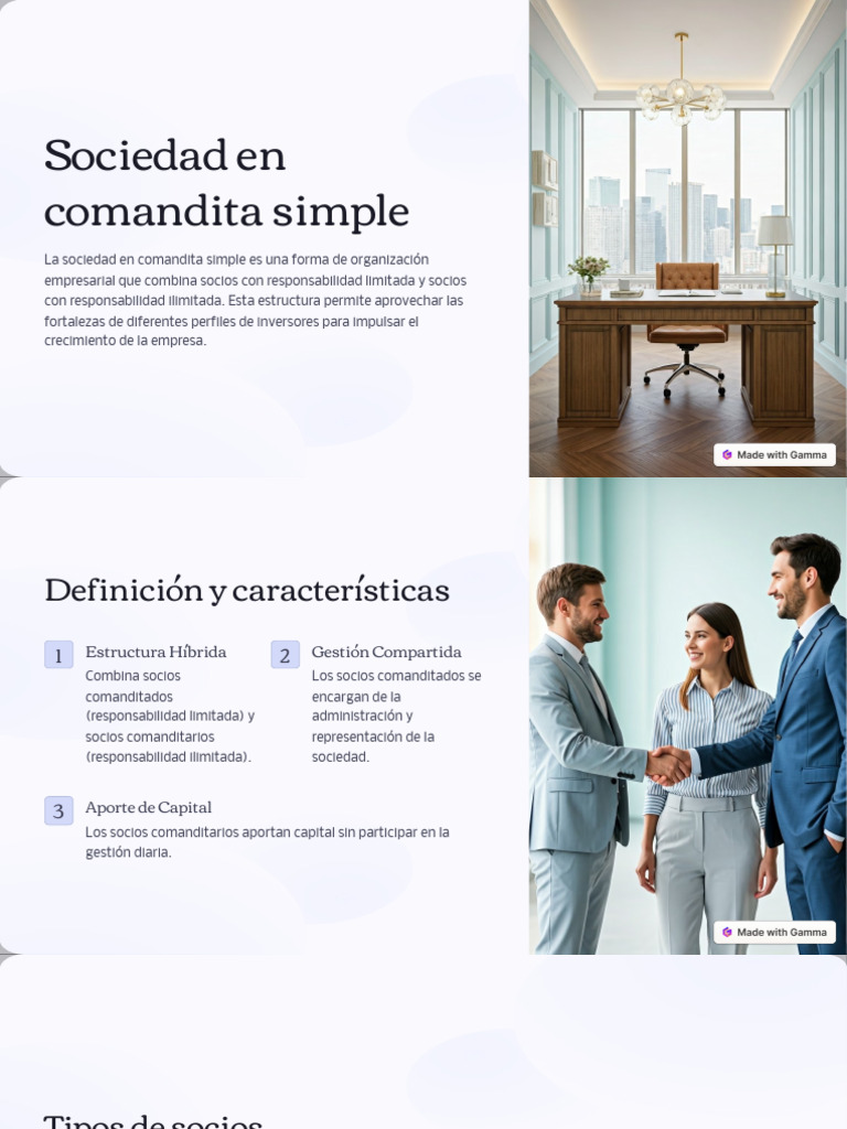 Sociedad en Comandita Simple | PDF | Sociedad | Negocios económicos