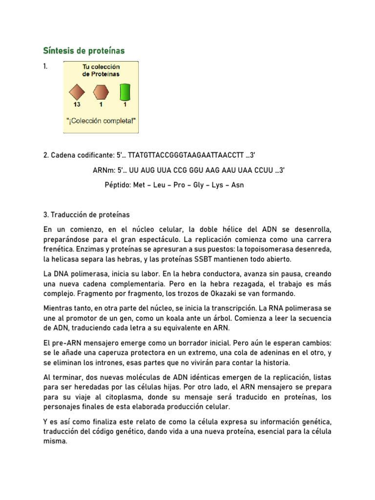 BioCel Proteínas | PDF
