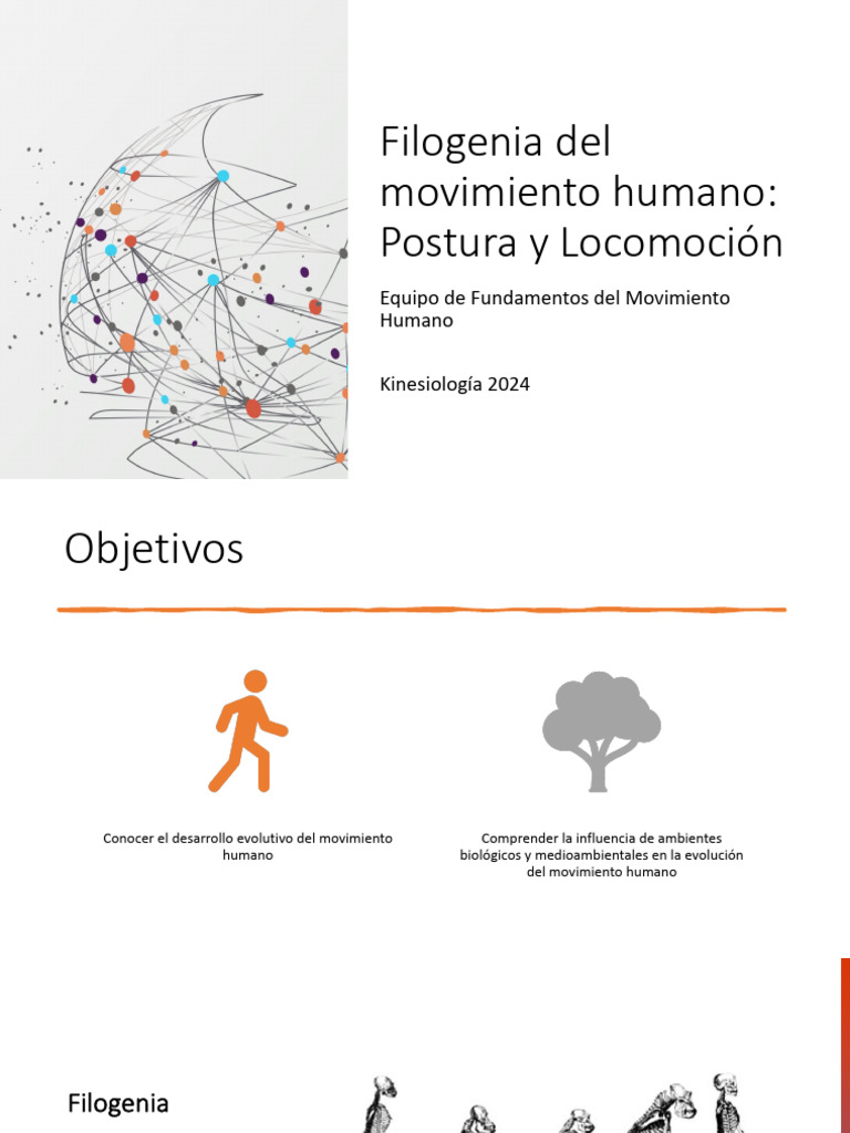 Filogenia Del Movimiento Humano-2-1 | PDF | Humano | Evolución