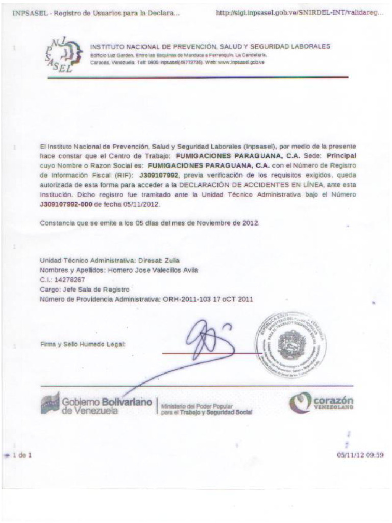 Inpsasel (Declaracion en Linea) | PDF