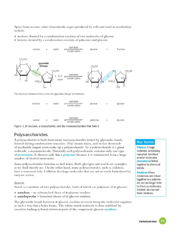 Ed Lees Edexcel A Level Biology Studentbook 1 2015 Hodder Education ...