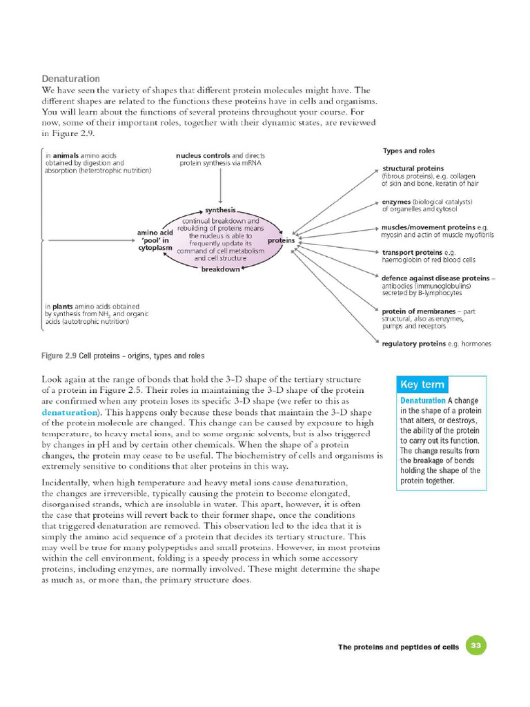 Ed Lees Edexcel A Level Biology Studentbook 1 2015 Hodder Education ...
