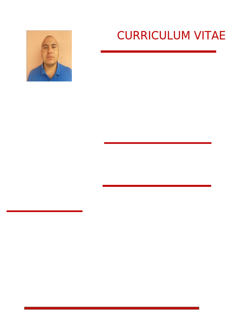 Curriculum Ivan. | PDF