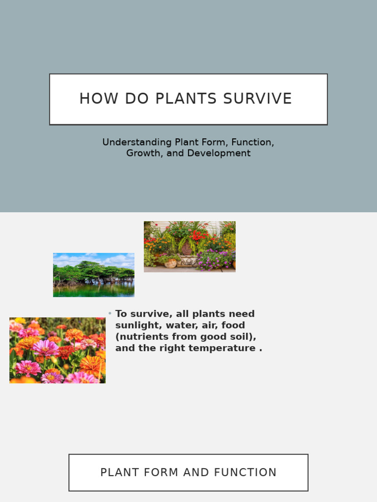 How Do Plants Survive: Understanding Plant Form, Function, Growth, and ...