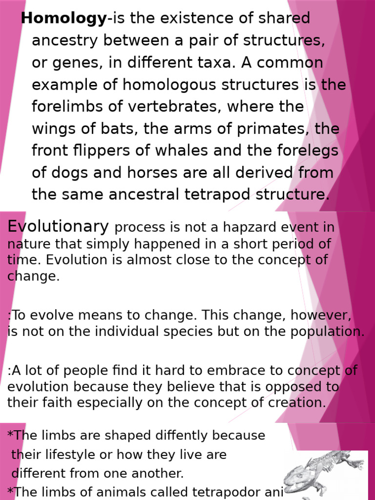 The Process of Evolution | PDF | Homology (Biology)