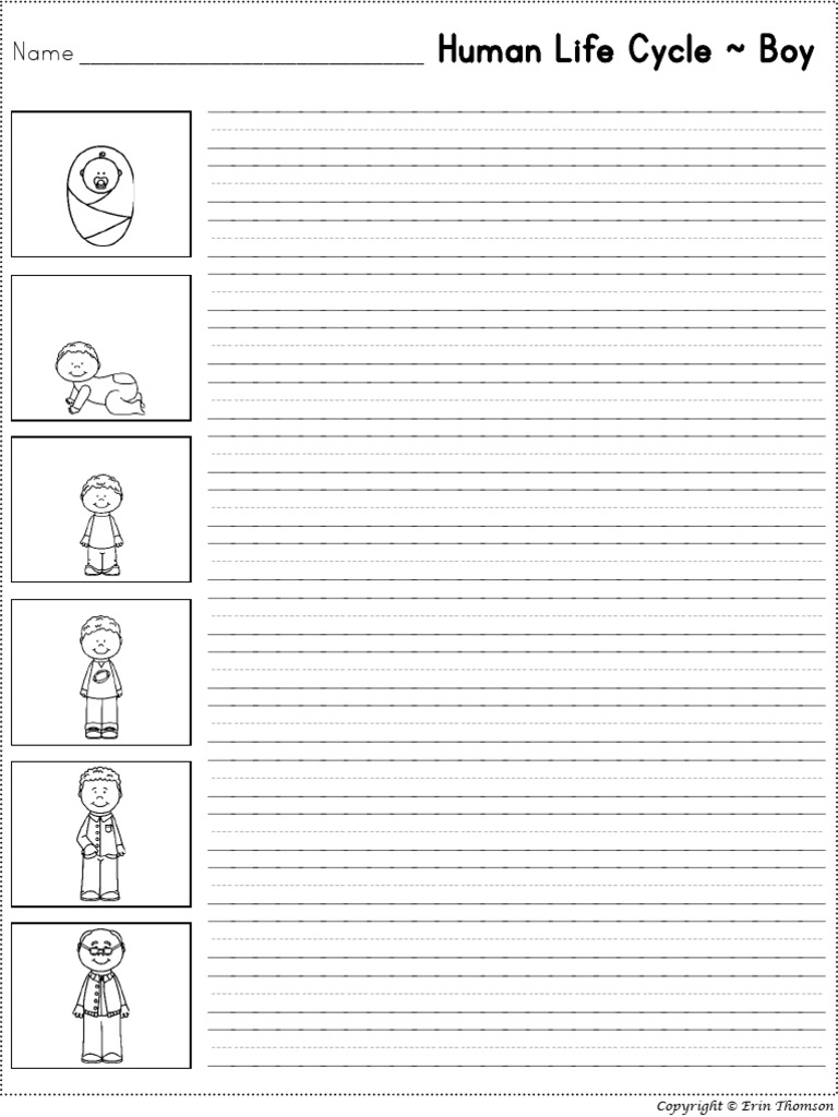 Sequencing Human Life Cycle Writing | PDF