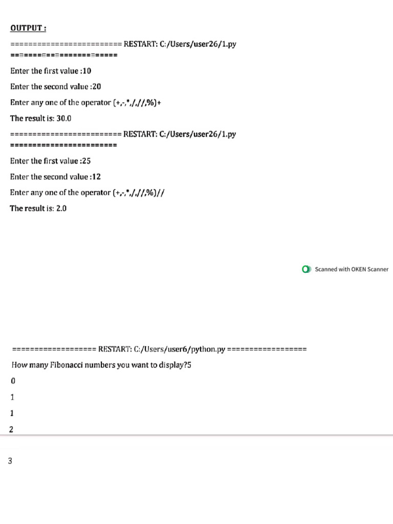 CS Outputs | PDF