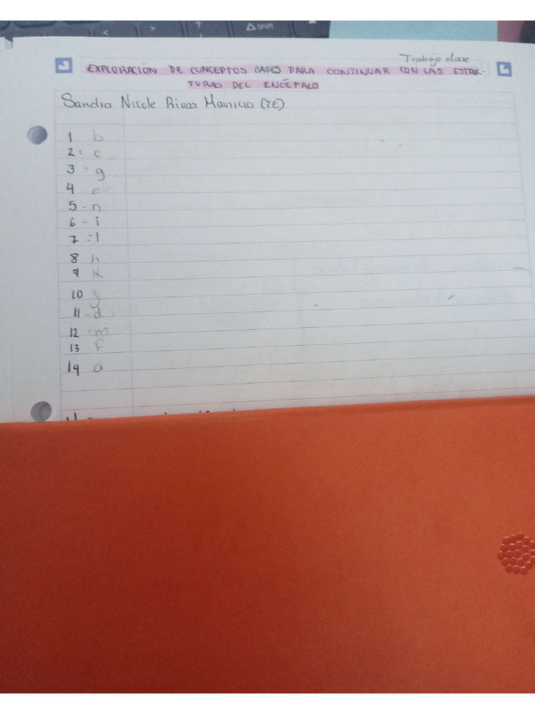 Preguntas Nicole Rivas | PDF