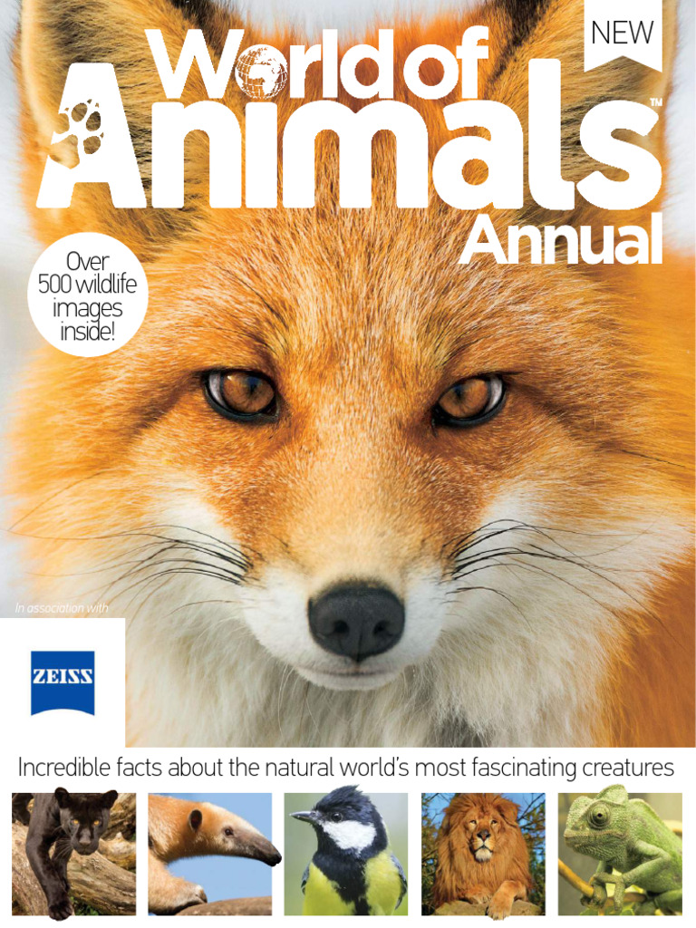 World of Animals - Annual Volume 2 | PDF | Jaguar | Dragonfly
