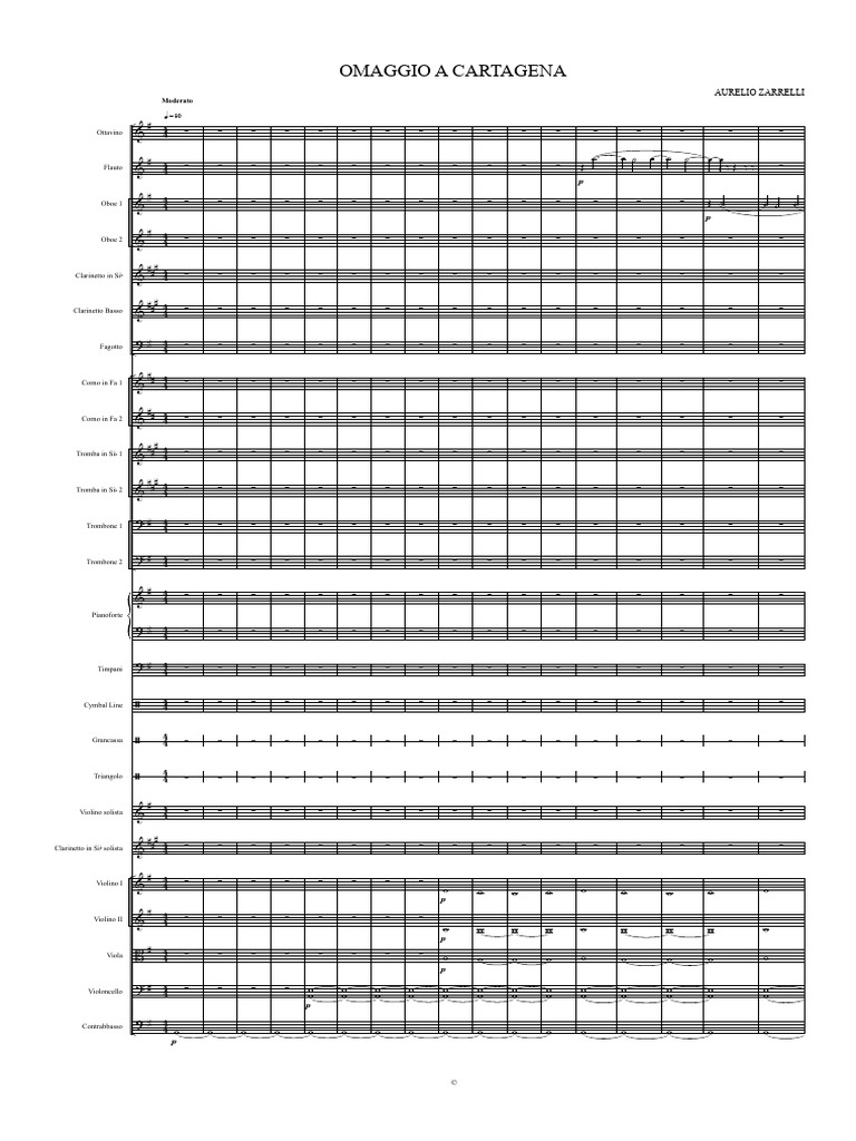 Omaggio A Cartagena | PDF | Musical Instruments