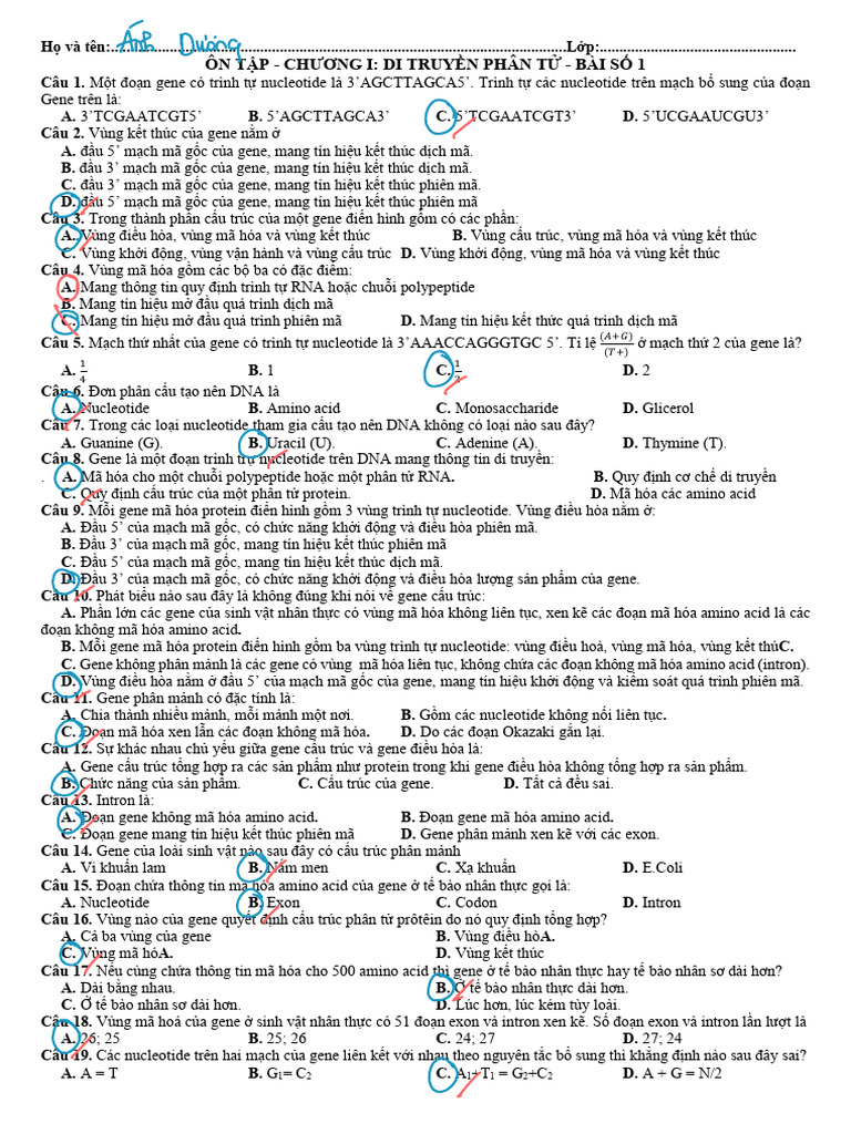 Ôn Tập Chương I - Bài 1-1 Yaw | PDF